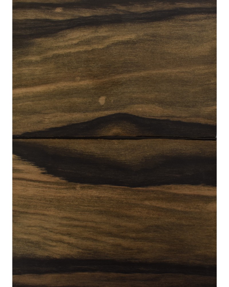 Ébène du Gabon en plaquettes